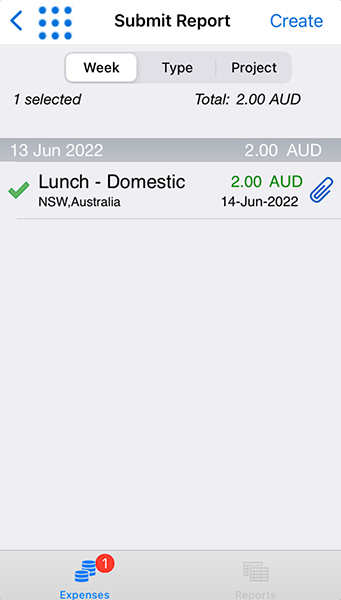 Logging an expense claim within Oracle Fusion – Aspen Medical
